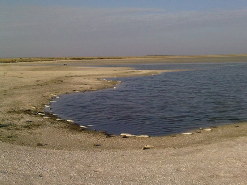 Новини / Молочний лиман: терміновий пошук шляхів збереження